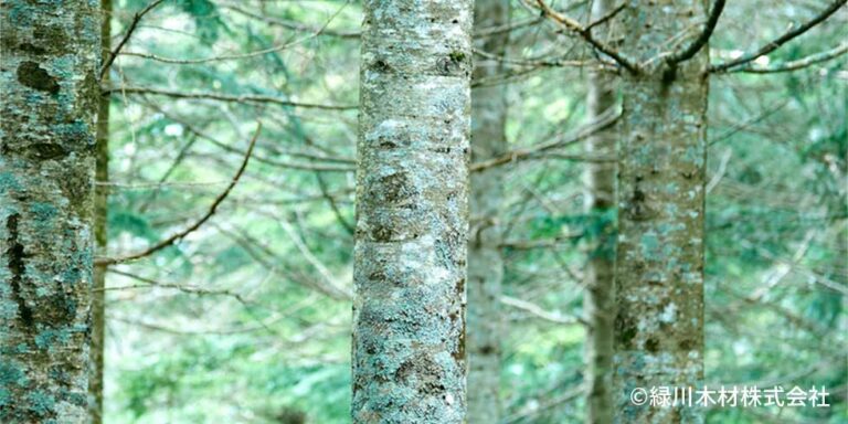 もくチャレ －家具デザインコンテスト with デジファブ－ | 国産木材を活かす繋げる｜MOCTION（モクション）